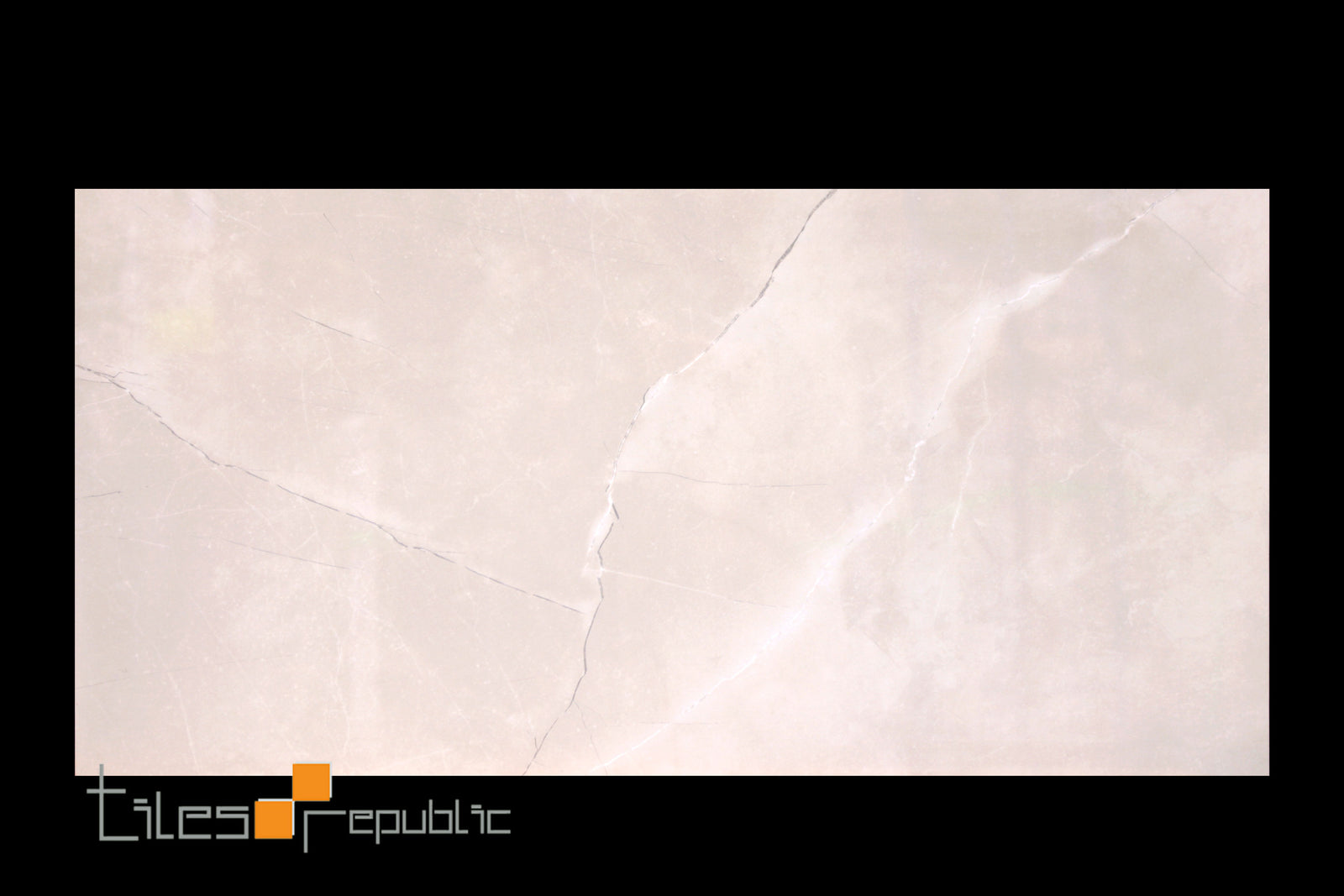 Fossil Bone Polished 300x600