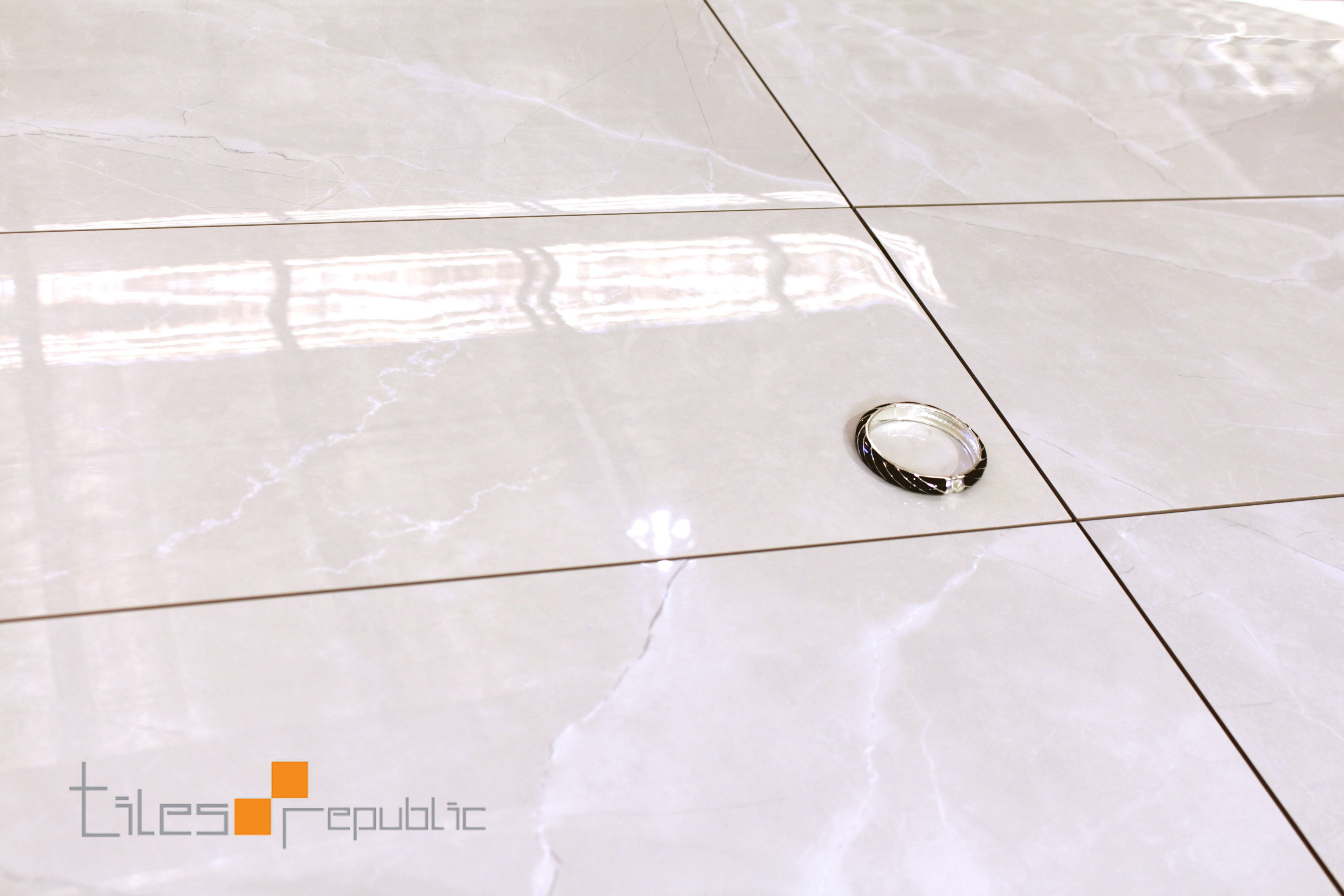 Fossil Bone Polished 300x600